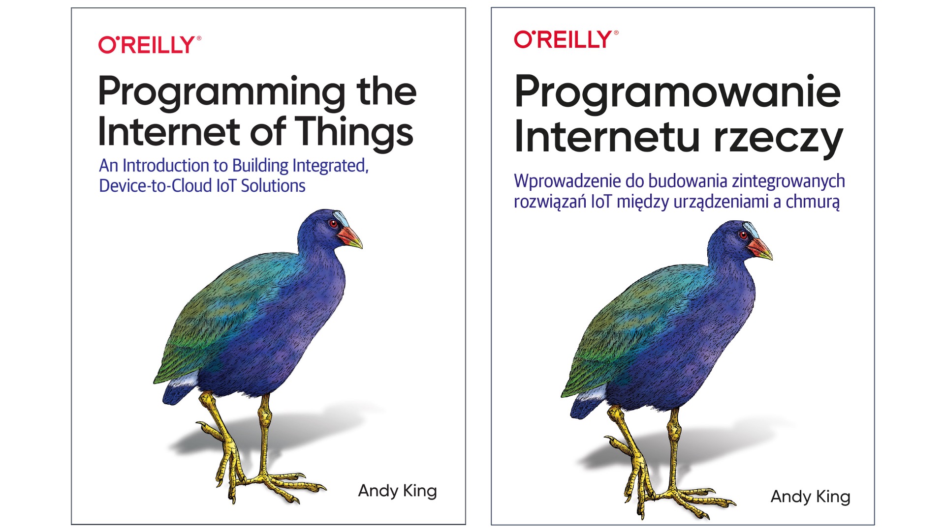 Programming the IoT – Lab Bench Studios